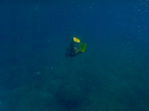 Lab Ratz | triple j Unearthed