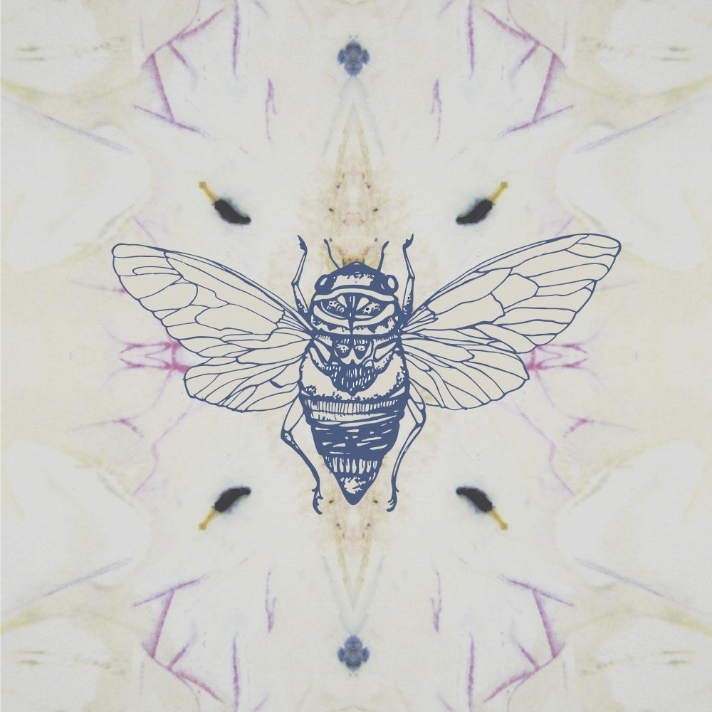 Angus Joseph | triple j Unearthed