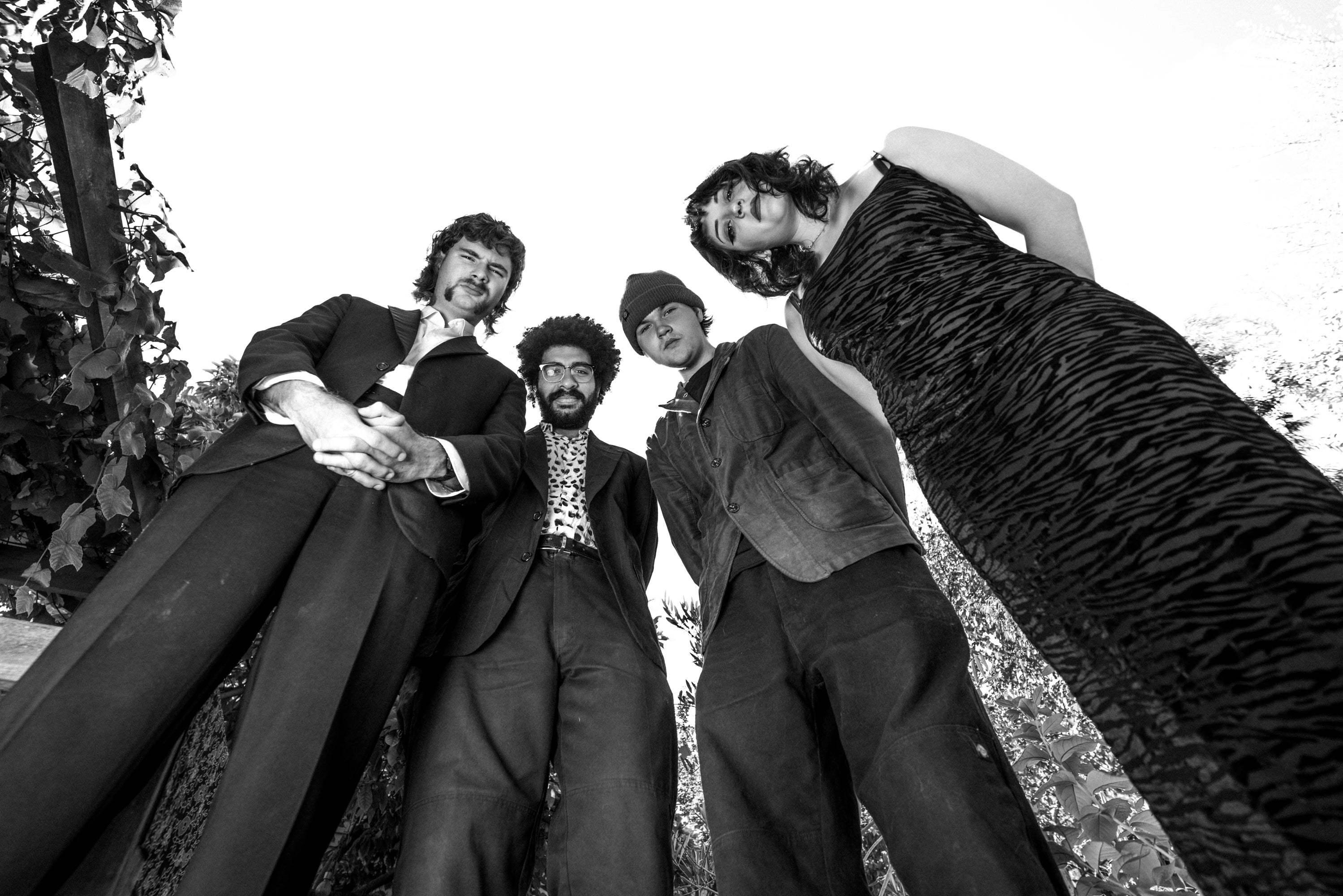 They Might Be Dead Frogs | triple j Unearthed