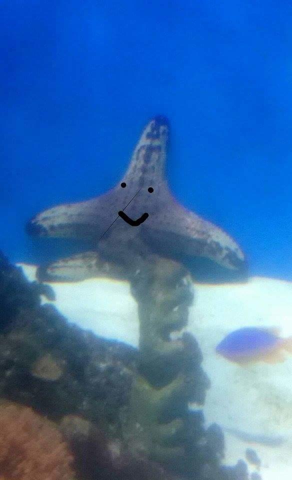 Jayden Dickson | triple j Unearthed