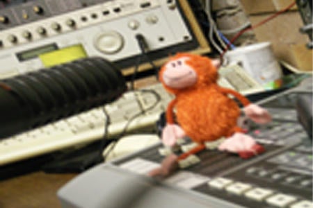 Dead Squashed Cat | triple j Unearthed