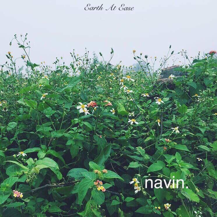 navin. | triple j Unearthed