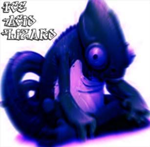 Ice Acid Lizard | triple j Unearthed