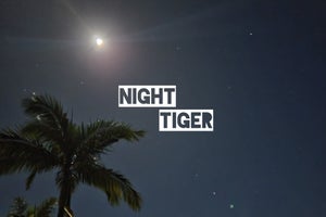 Night Tiger | triple j Unearthed