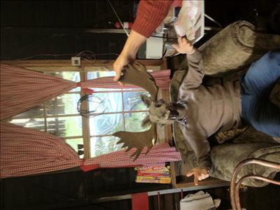 Baboona | triple j Unearthed