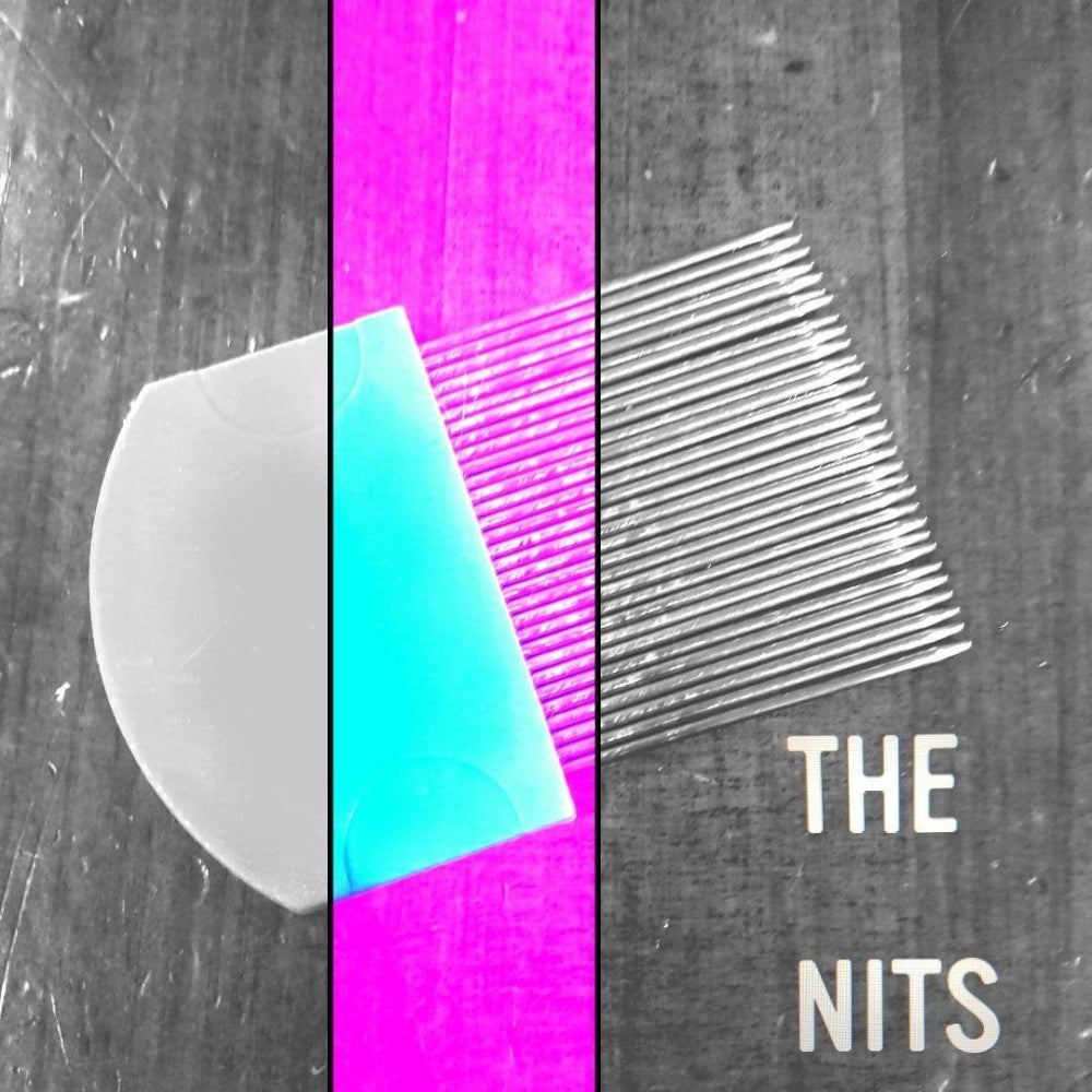 The Nits | triple j Unearthed