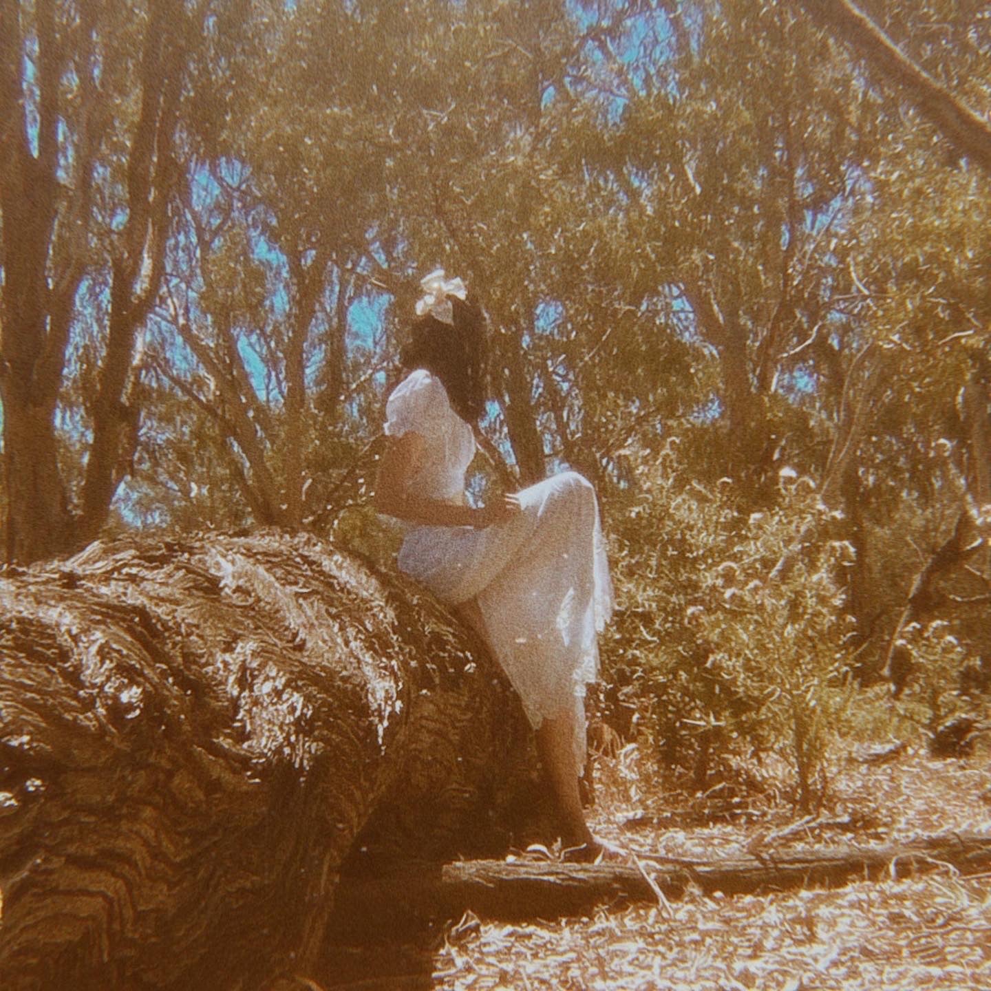 Penelope Rose | triple j Unearthed