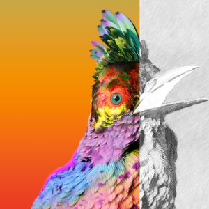 alope | triple j Unearthed