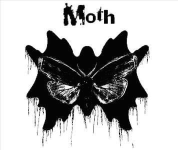 MOTH | triple j Unearthed