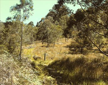 dominic kavanagh | triple j Unearthed