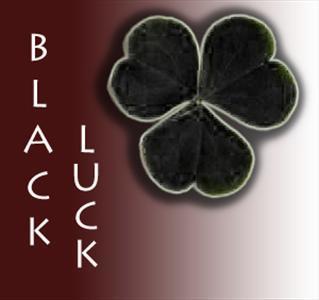 Black Luck | triple j Unearthed