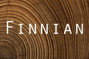 Finnian | triple j Unearthed