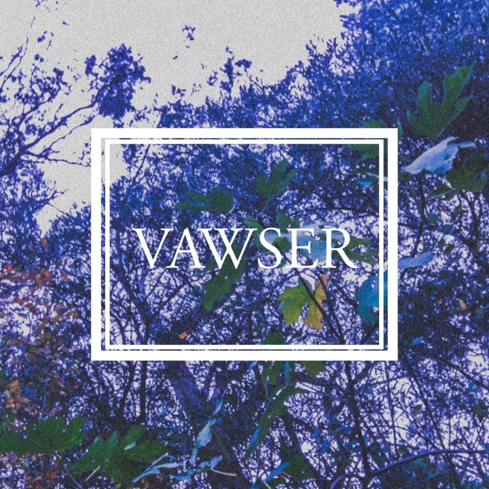 VAWSER | triple j Unearthed
