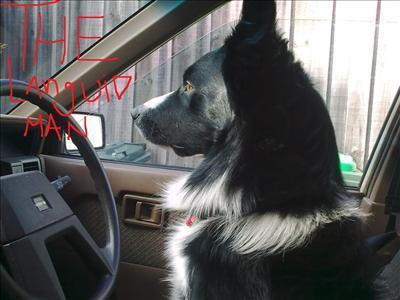 The Languid Man | triple j Unearthed