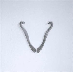 Tom Guichard | triple j Unearthed