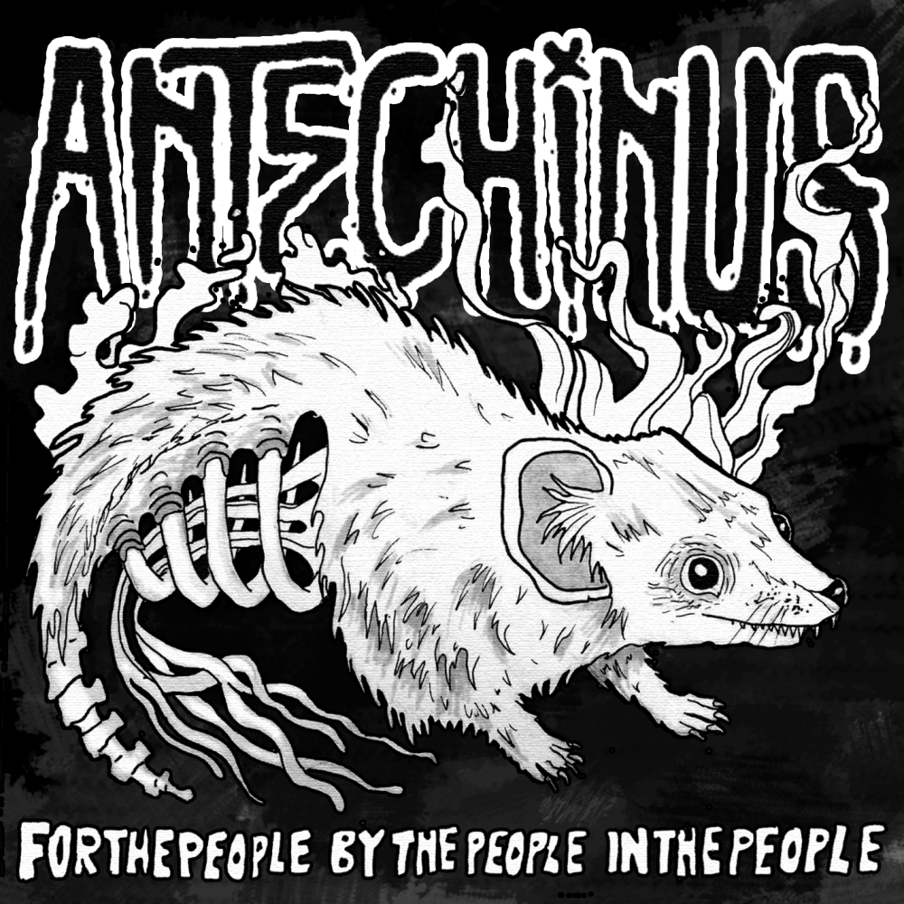 Antechinus | triple j Unearthed