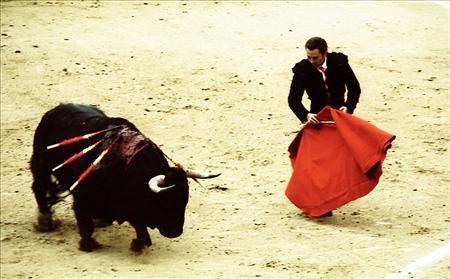 Bull Fight In Mexico | triple j Unearthed