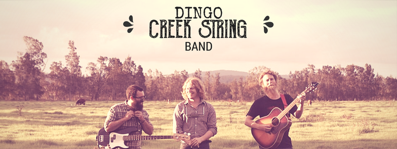 Dingo Creek String Band | triple j Unearthed