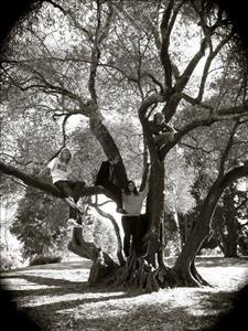 The Dividing Line | triple j Unearthed