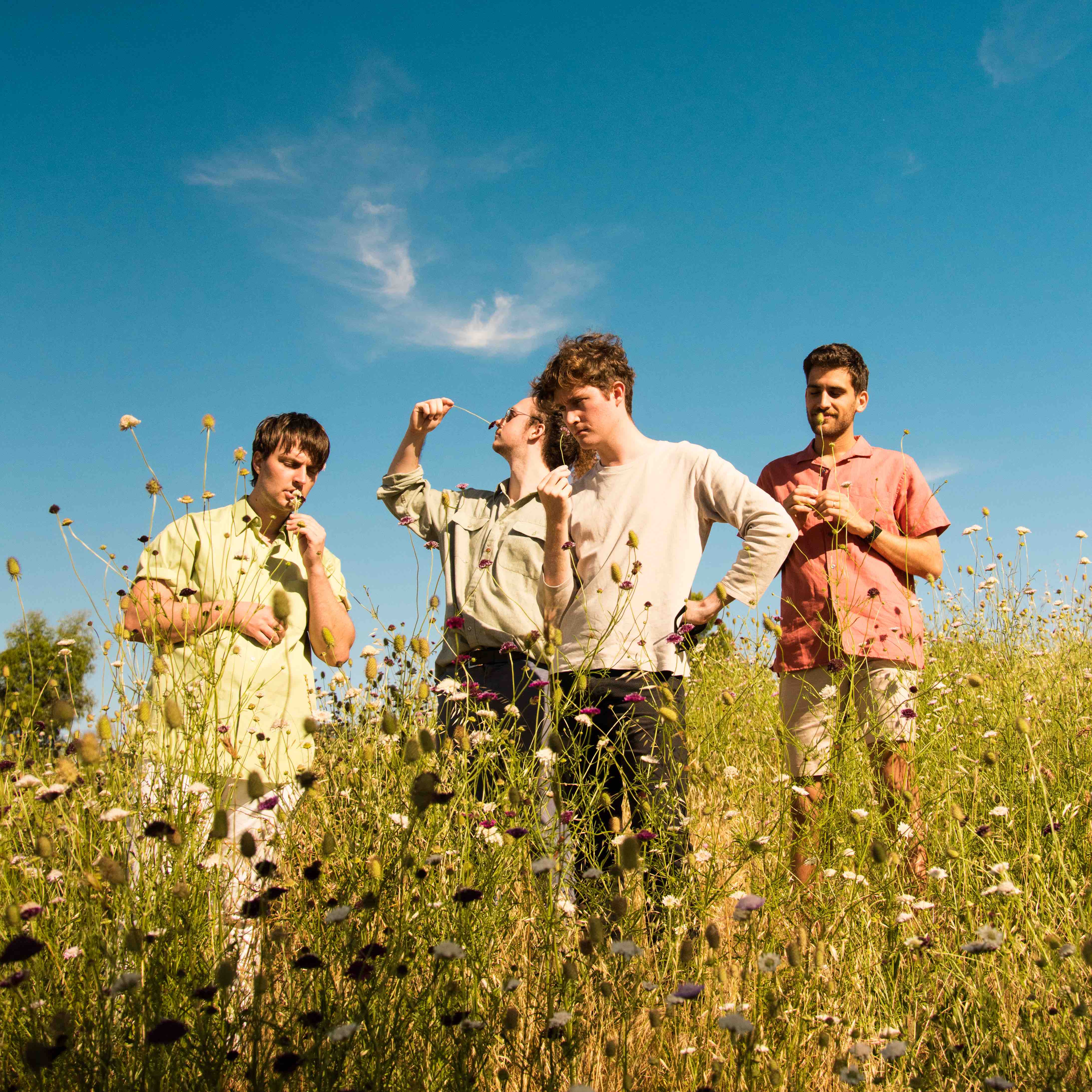 Neon Tetra | triple j Unearthed