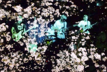 The Milton Grey | triple j Unearthed