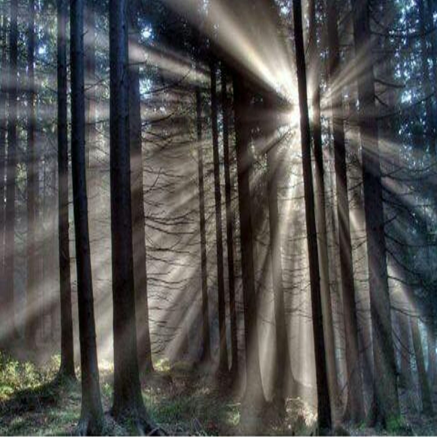 7Gz | triple j Unearthed