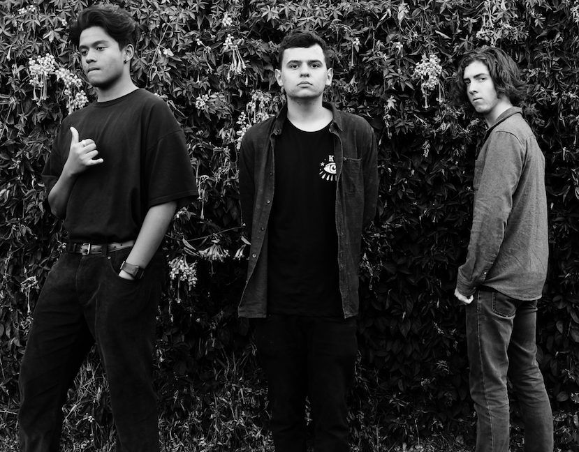 Salt | triple j Unearthed