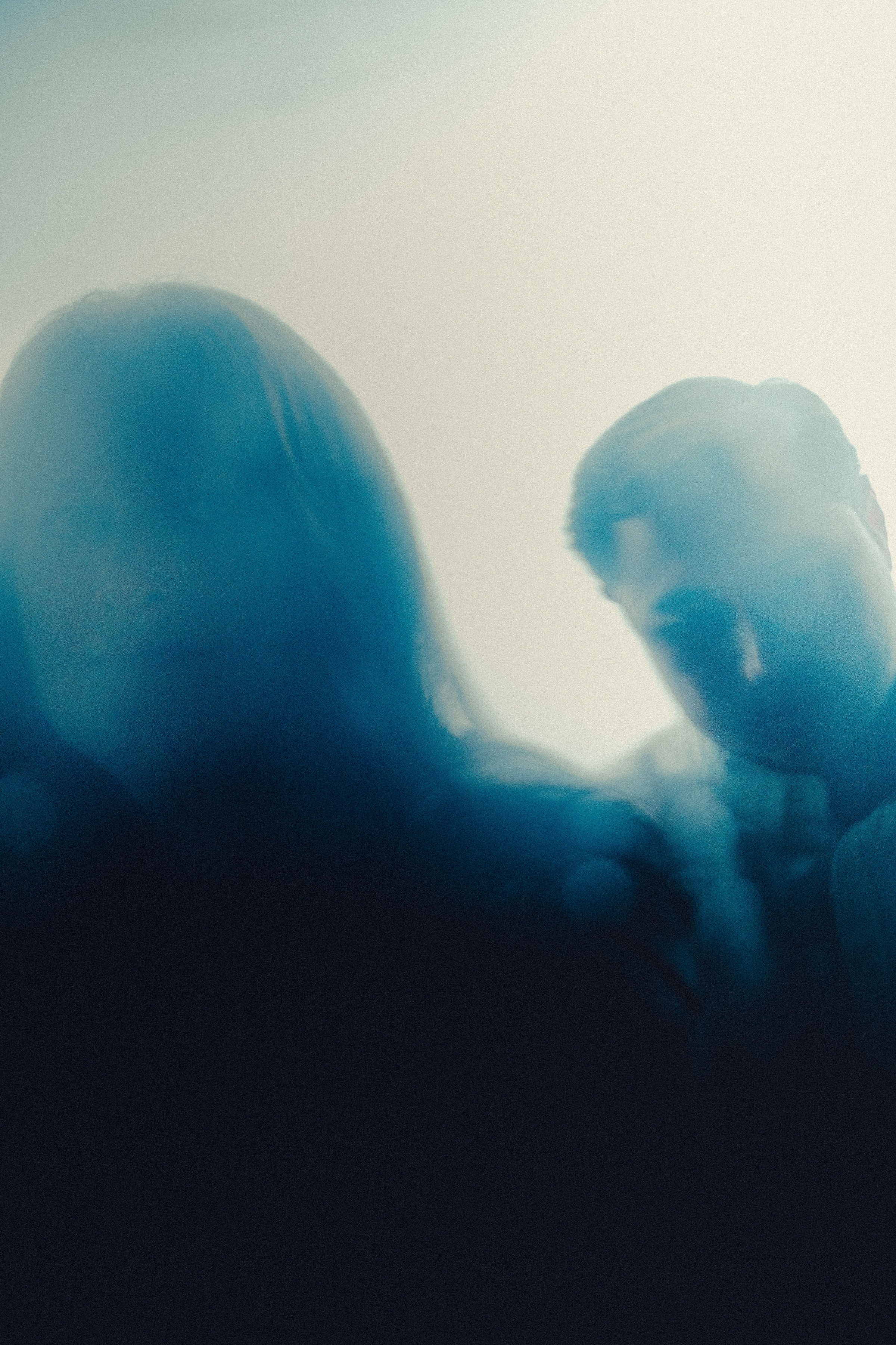 Fragile Animals | triple j Unearthed