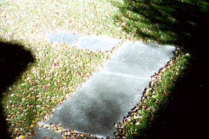 Cherry Rype | triple j Unearthed