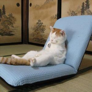 Matt Balfe | triple j Unearthed