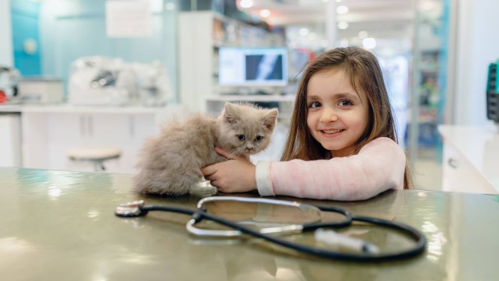 A simple guide for planning your pet’s vaccination | RSPCA Pet Insurance