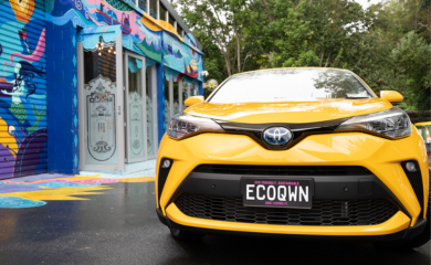 Personalised & Custom Number Plates NZ | KiwiPlates