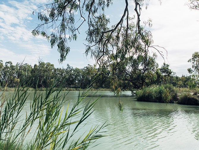 Riverland Wine Region