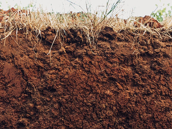 Barossa Valley Wine Region