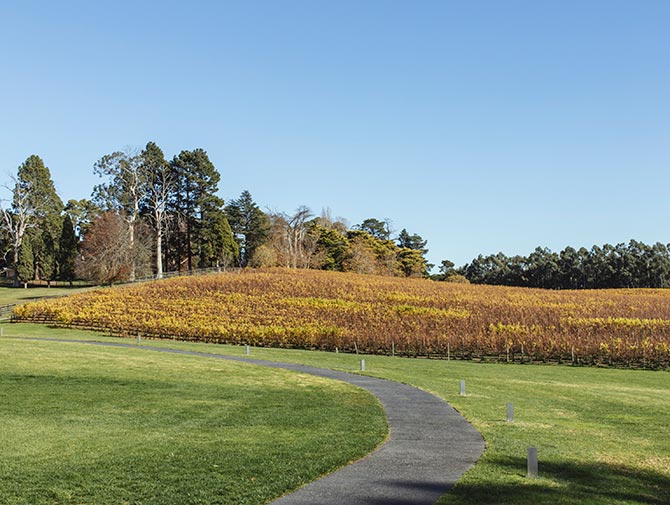Adelaide Hills Wine Region