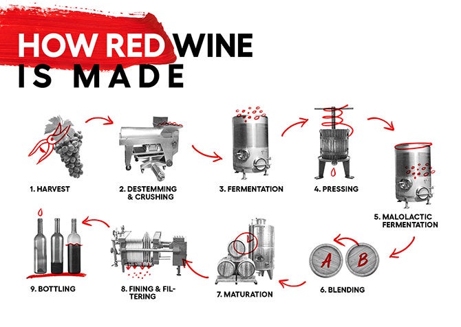 Making red wine store