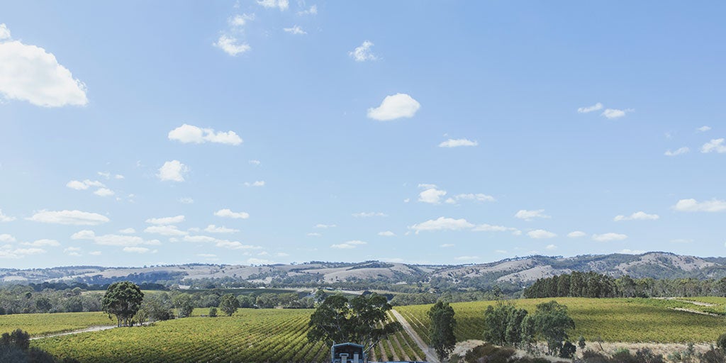 Coonawarra Wine Region