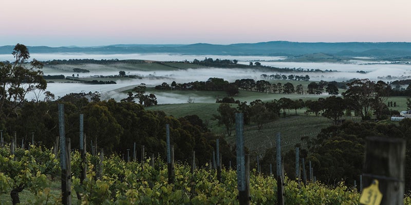 The ultimate guide to South Australia’s wine regions