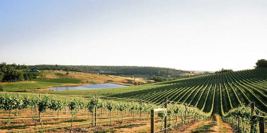 Geographe Wine Region