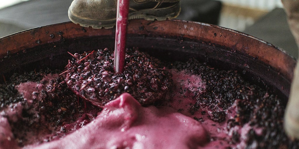 Behind the bottle: how wine is made