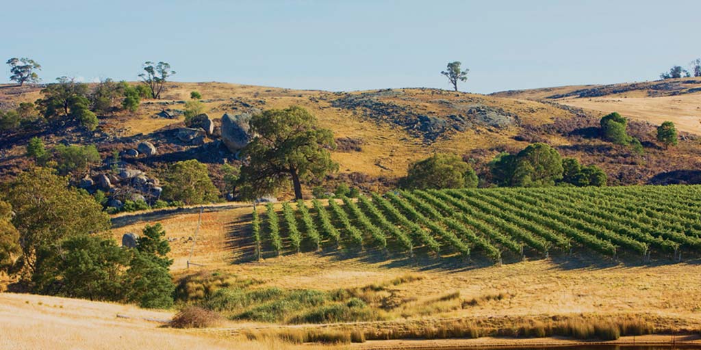 Strathbogie Ranges wine region