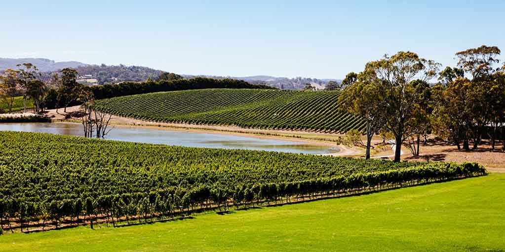 Adelaide Hills Wine Region
