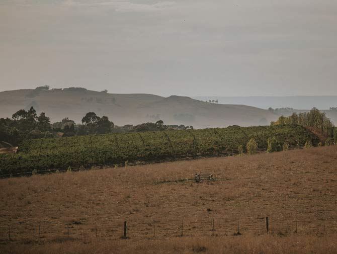 Macedon Ranges wine region
