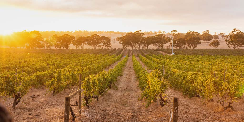 Eden Valley Wine Region