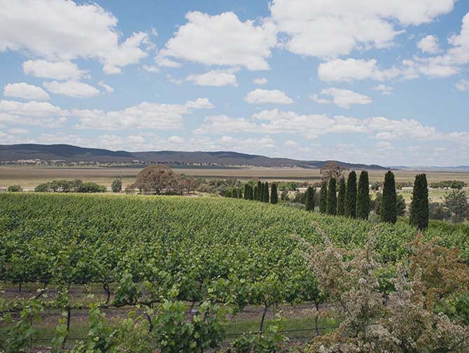 Canberra District Wine Region