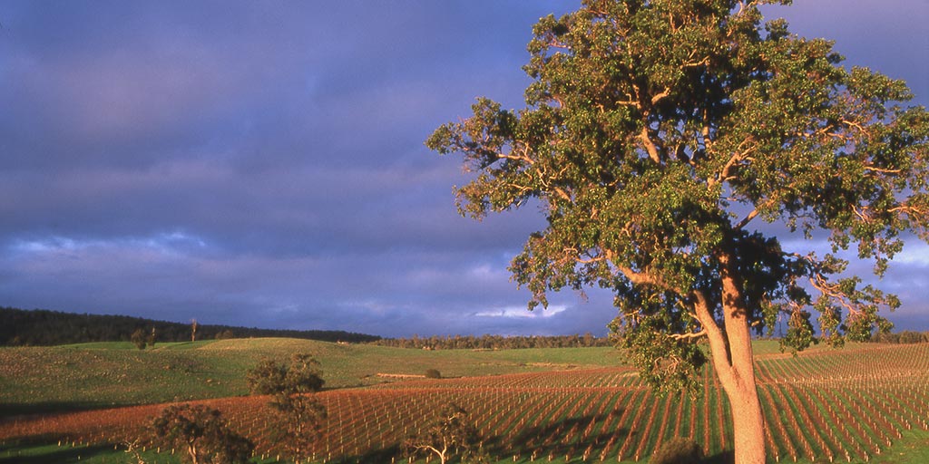 Geographe: Why this budding region is making waves