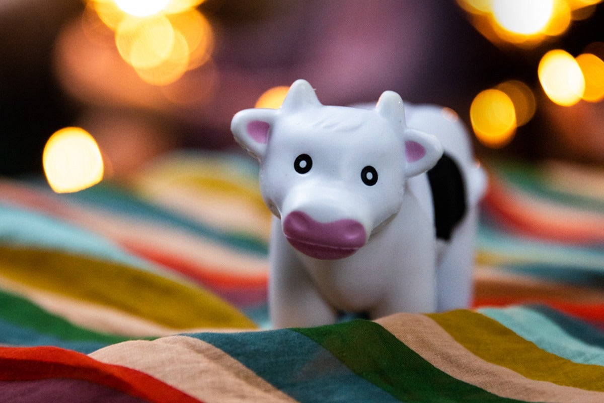 Real Cows' Milk – Love Milk Again