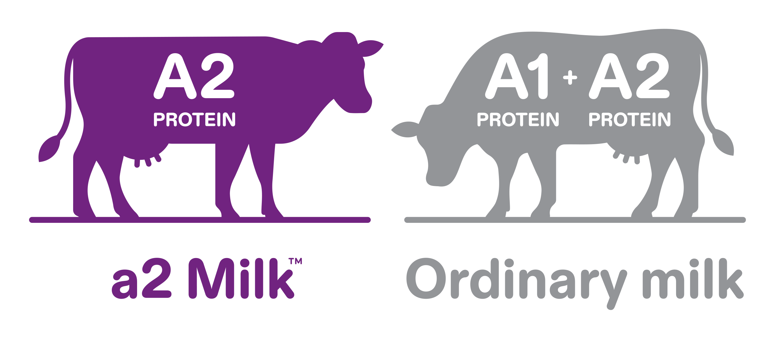The a2 Milk Company