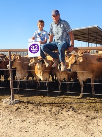 Real Cows' Milk – Love Milk Again