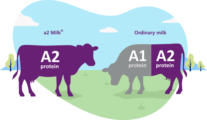 What is the a2 Milk® difference?